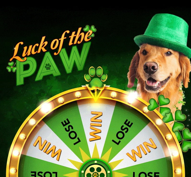 Pet Supermarket Luck of the Paw Instant Win Game - I Love Giveaways