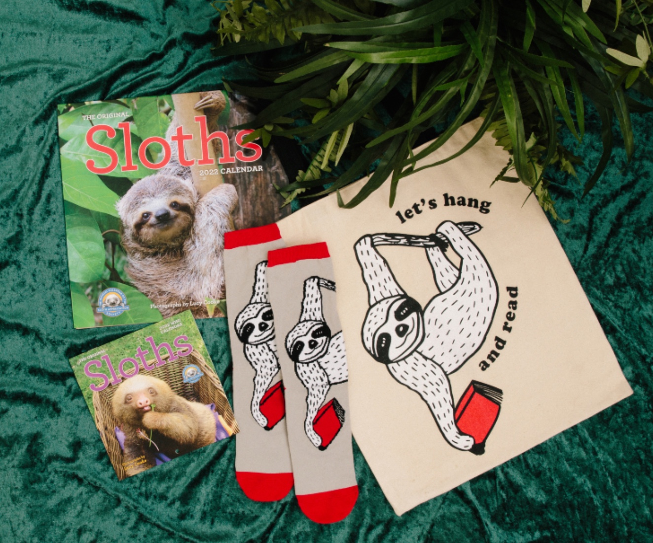 International Sloths Day Giveaway - I Love Giveaways